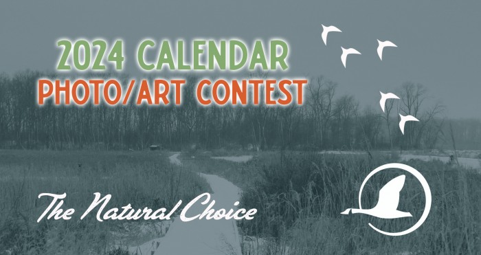 Calendar Art Contest - Horicon Bank